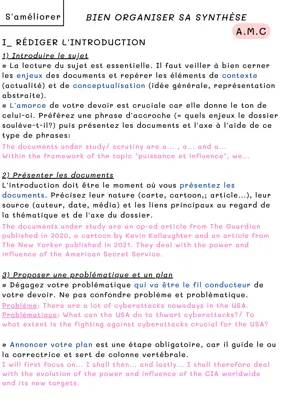 Super Guide pour Faire une Synthèse Facile! Exemple et Corrigé PDF ...