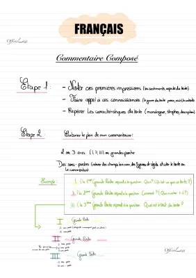 Explication simple: Exemple de Commentaire Composé Rédigé PDF pour Bac ...
