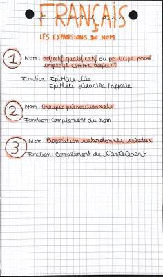Les expansions du nom : exemples, exercices corrigés, PDF pour 4ème et ...