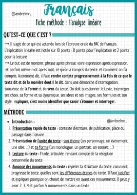 Guide Facile: Analyse Linéaire Texte Bac Français 2024 pour Débutants ...