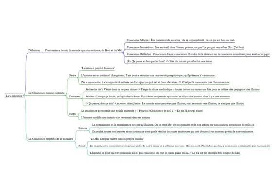 Explication simple: La Conscience - Fiche Philo Terminale et Sujets Corrigés (Philosophie ...