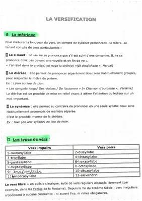 Découvre la Versification en Poésie : Règles et Types de Vers ...