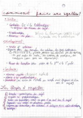 Comment faire une synthèse rapidement : Exemple corrigé et plan (SVT ...