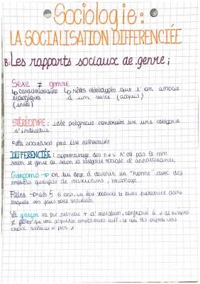 Explication simple: La Socialisation Différenciée: Genre et Milieu Social (SES) - Knowunity