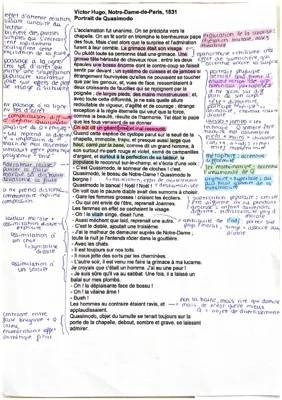 Explication simple: Analyse linéaire de Notre-Dame de Paris - Quasimodo sauve Esméralda ...