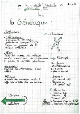 Explication simple: Fiche Révision Génétique 3ème - PDF Cours et Exercices SVT (SVT) - Knowunity