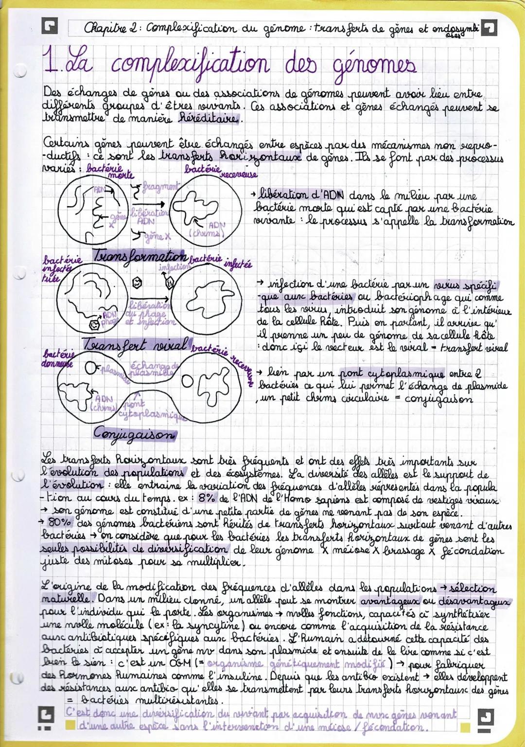 Chapitre 2 : Complexification du génome : transferts de gènes et ...