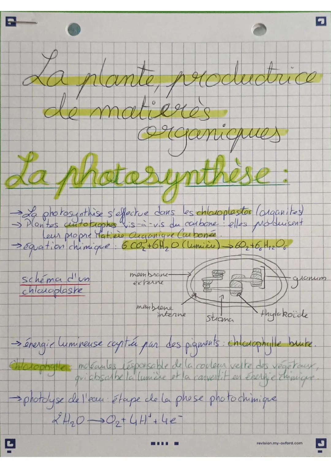 La plante, productrice de matières organiques. (SVT) en PDF - Knowunity