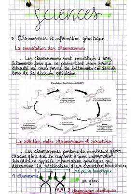 Explication simple: Fiche Révision Génétique 3ème - PDF Cours et ...
