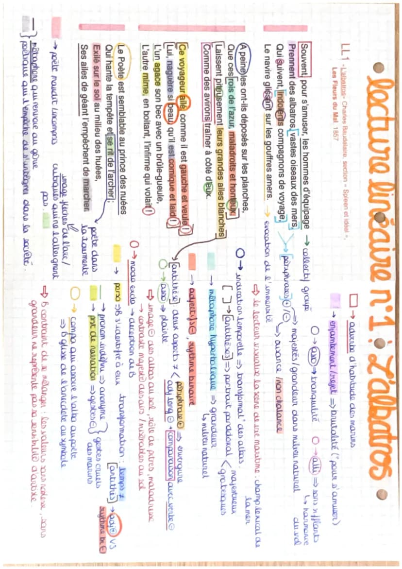 L'Albatros de Baudelaire : Analyse linéaire PDF et explication CM2 ...