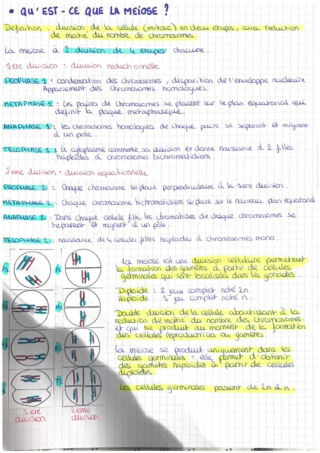 Tableau de comparaison entre la mitose et la méiose - Schémas et PDF ...