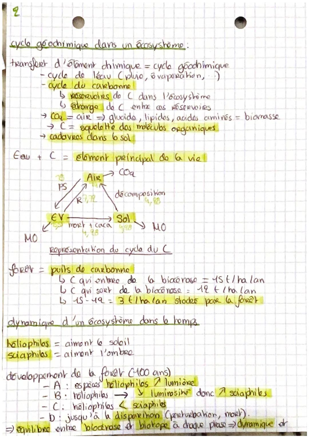 Tout sur l'Écosystème Forestier: Définition, Schéma, et Exemples (SVT ...
