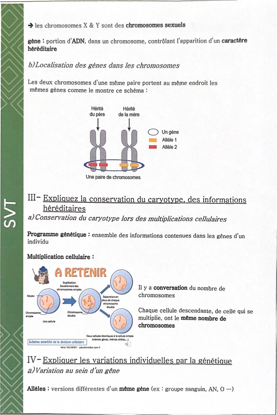Explication simple: Fiche Révision SVT Brevet 3ème - Génétique et Chromosomes (SVT) - Knowunity