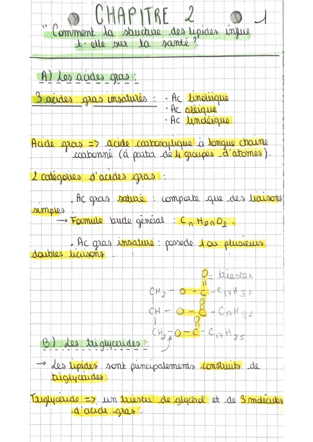 La structure des lipides terminal st2s (ST2S) en PDF - Knowunity