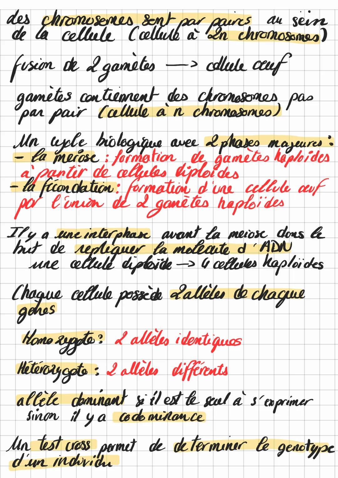 Explication simple: L'origine du génotype des individus - SVT Terminale ...