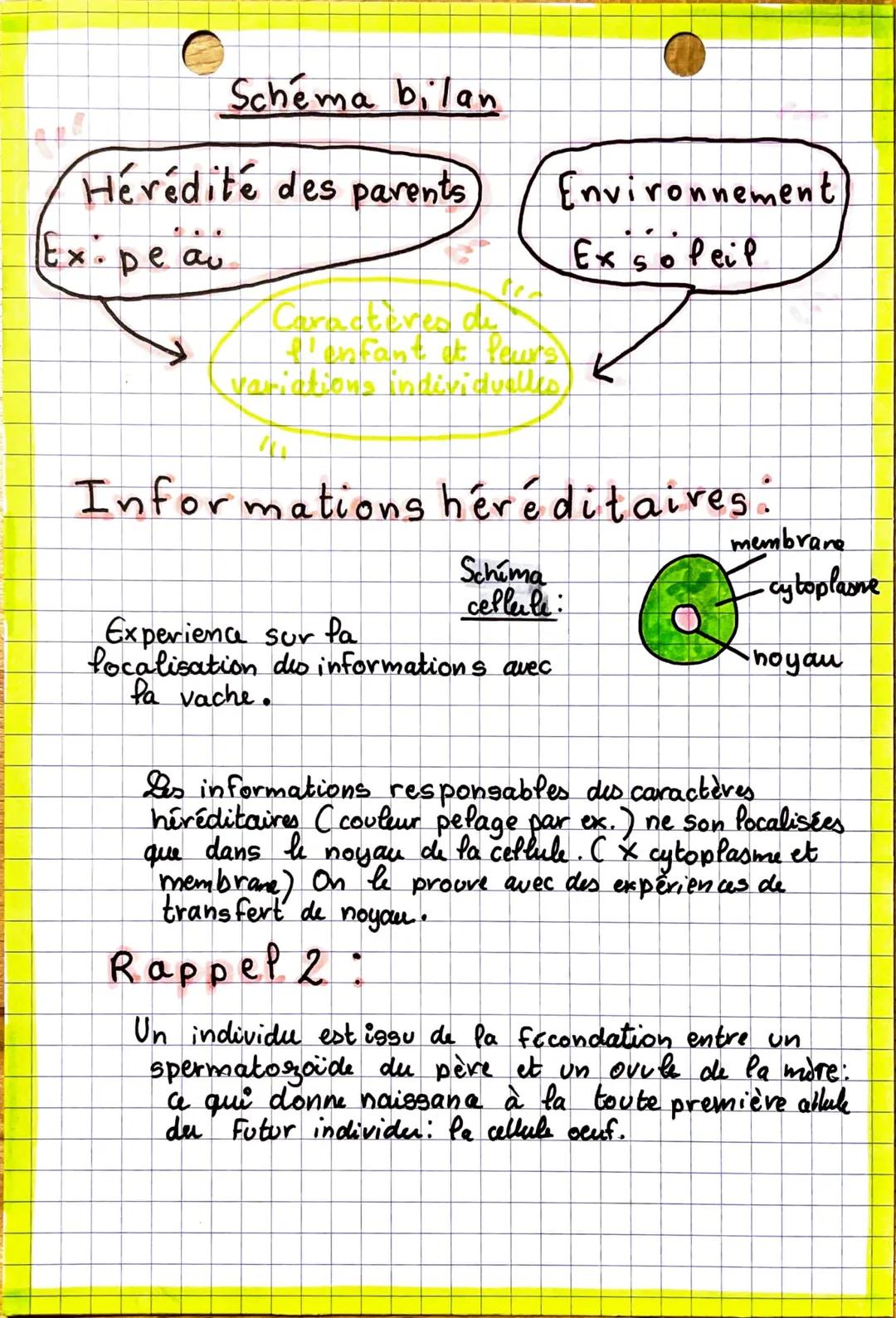 Fiche Révision SVT 3ème PDF - Caractère Héréditaire et Non Héréditaire, Génétique Humaine (SVT ...