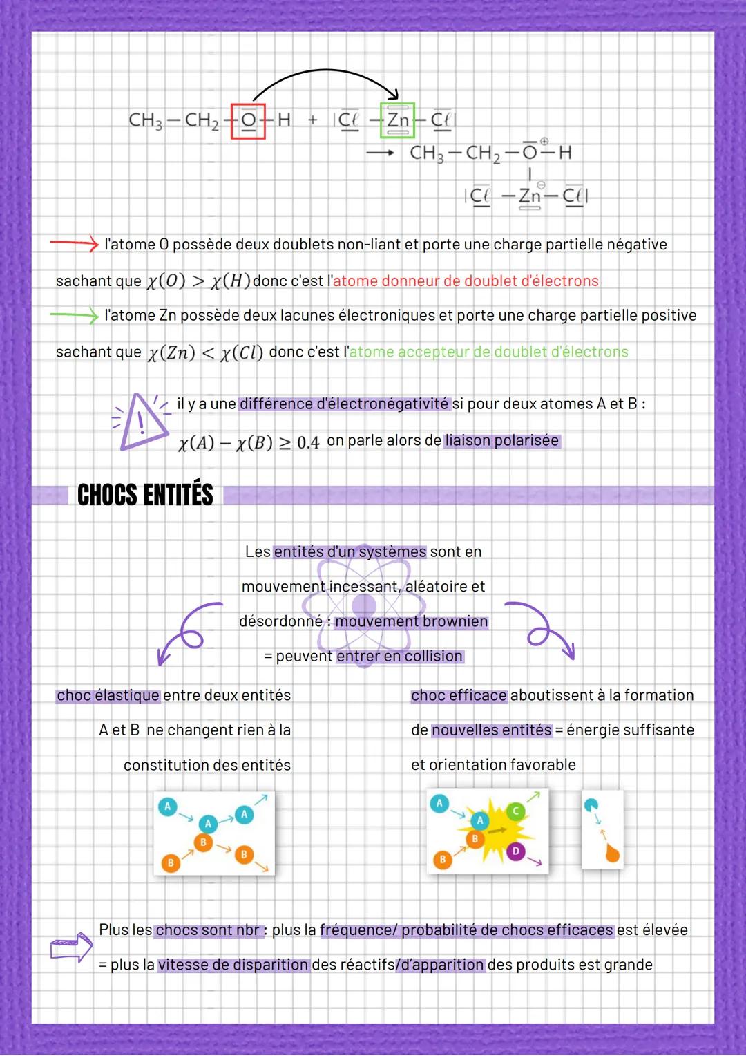 Modélisation Microscopique et Évolution Temporelle d'un Système ...