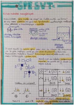 Les Étapes de la Traduction des Protéines et Schéma SVT (SVT) - Knowunity