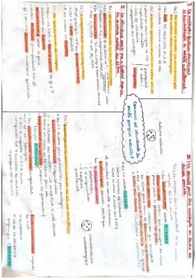 Exemple Corrigé EC3 SES - Méthode Simple pour Épreuve Composée (SES) en PDF - Knowunity