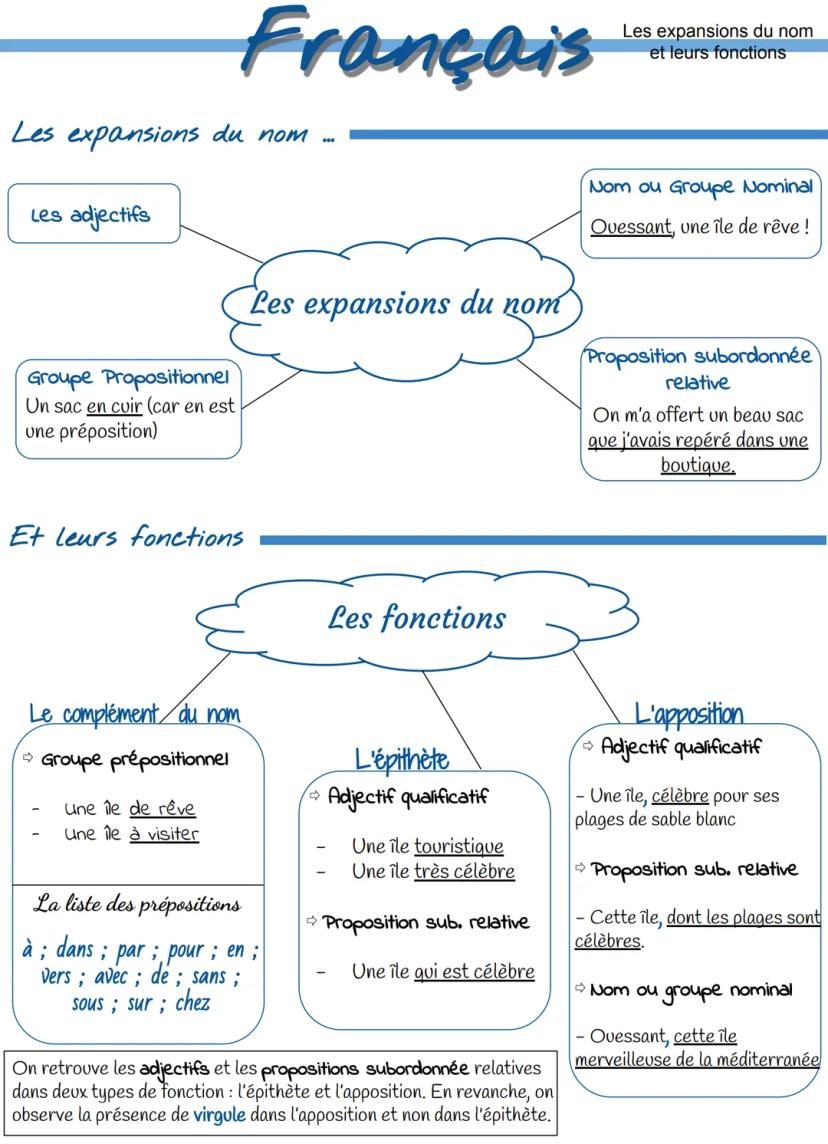 Les Expansions du Nom : Exemples et Exercices Corrigés pour la 5ème et ...