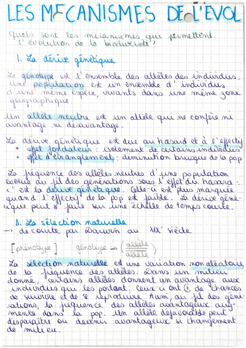 Explication simple: SVT Seconde - Les Mécanismes de l'Évolution : Exercice, Contrôle et PDF (SVT ...