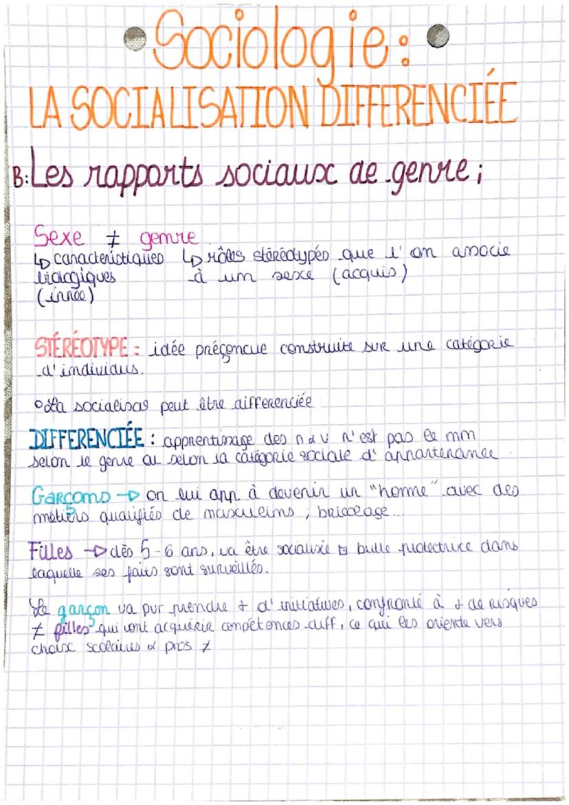 Explication simple: La Socialisation Différenciée: Genre et Milieu Social (SES) - Knowunity