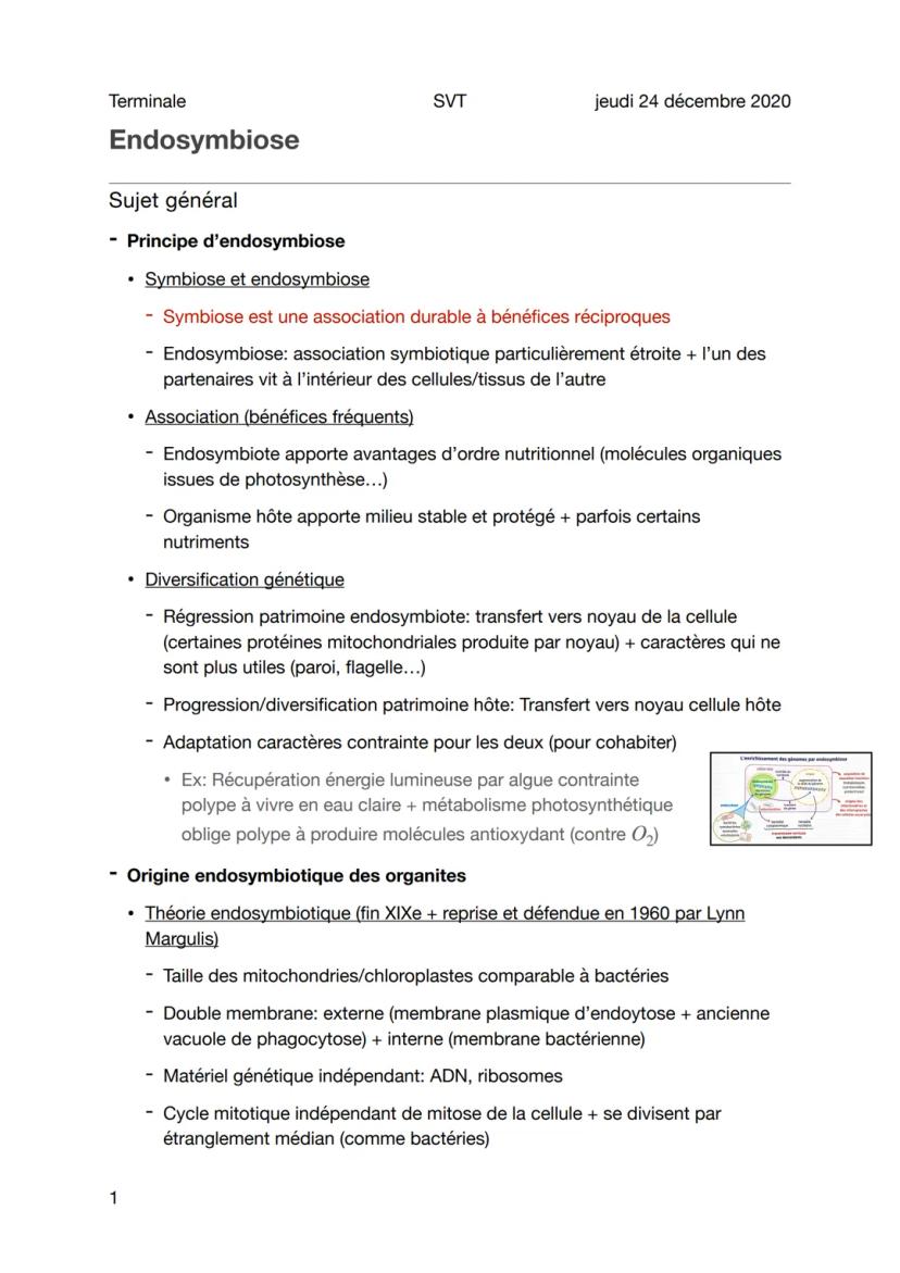 Comprendre l'endosymbiose: théorie, exemples et origines (SVT) - Knowunity