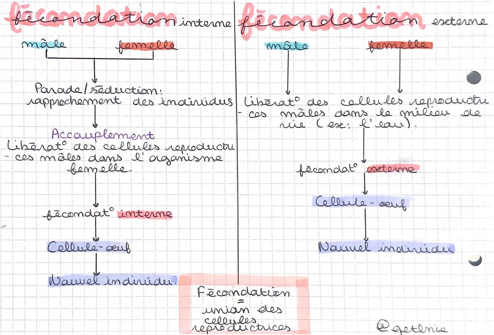 Les types de reproduction chez les vertébrés : Reproduction sexuée et ...