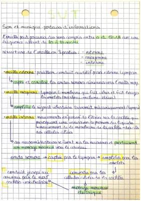 Schéma Simple de la Mitose et Méiose: Les 4 Phases et Tableau ...