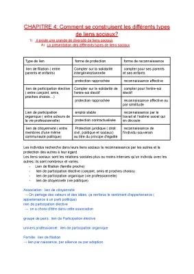 Découvre les 4 types de liens sociaux et les groupes (SES) - Knowunity