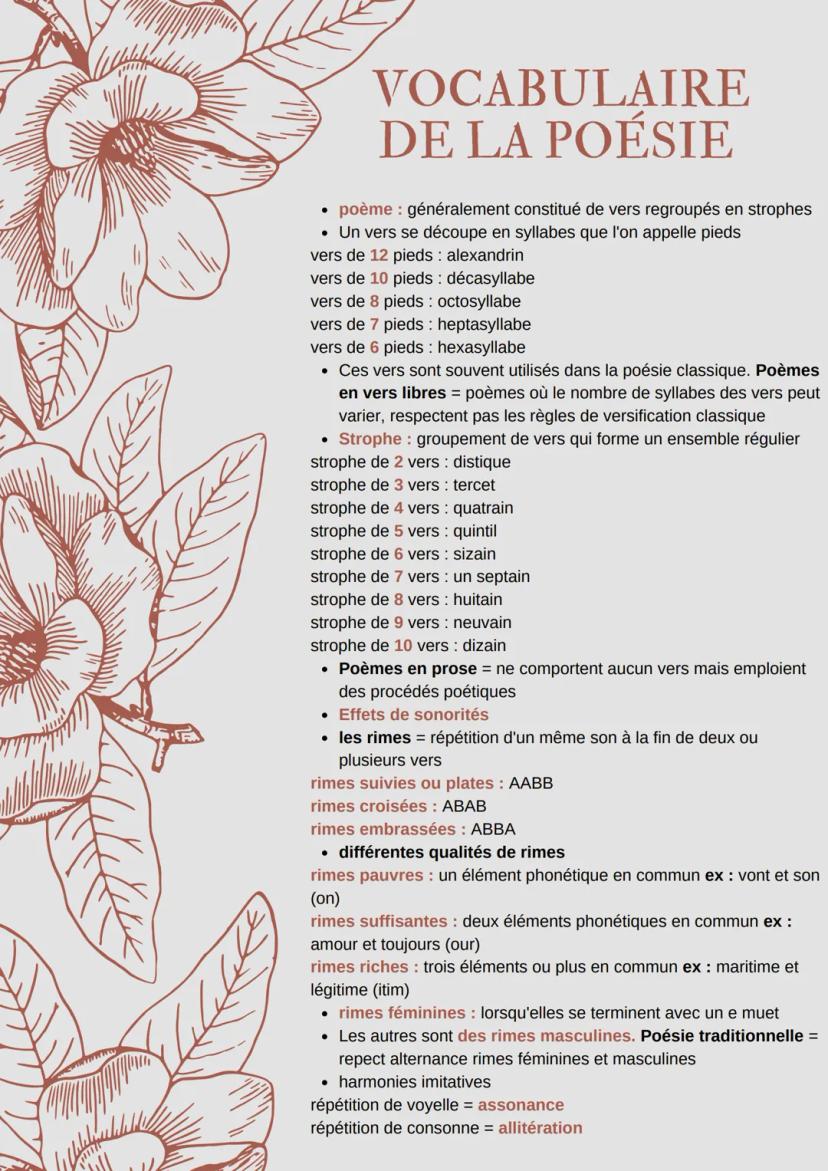 Fiche Poésie Bac Français PDF - Vocabulaire et Exemples (Français) en ...