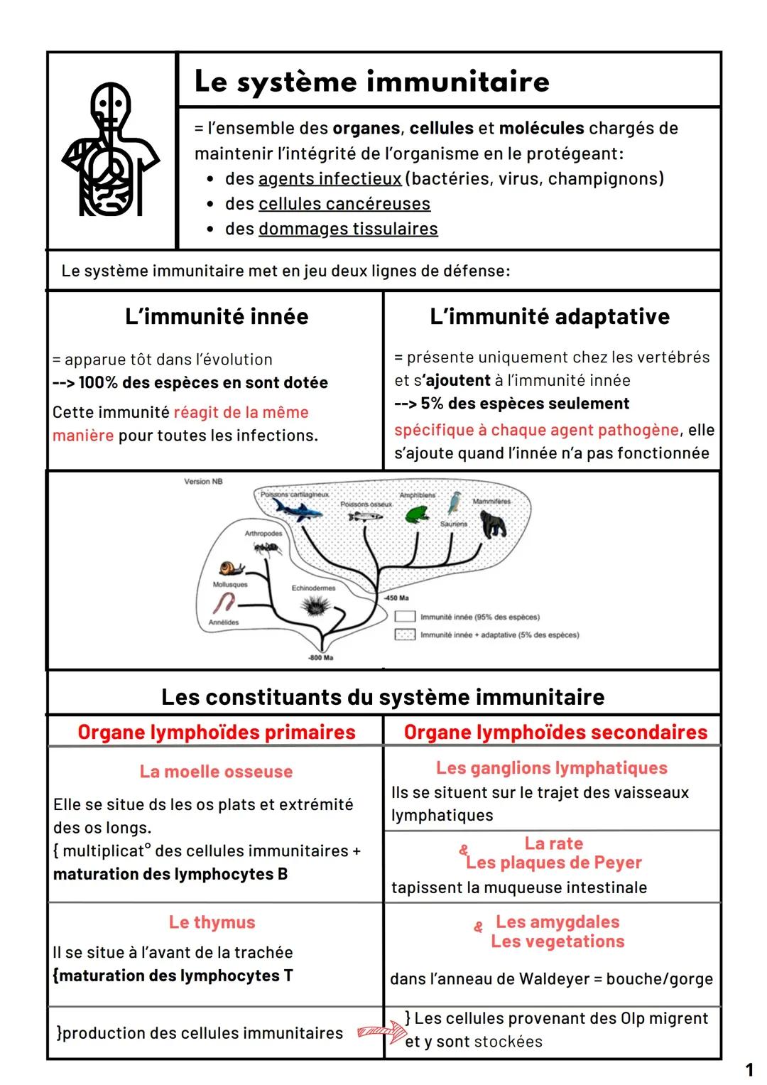 Le systeme immunitaire (SVT) - Knowunity