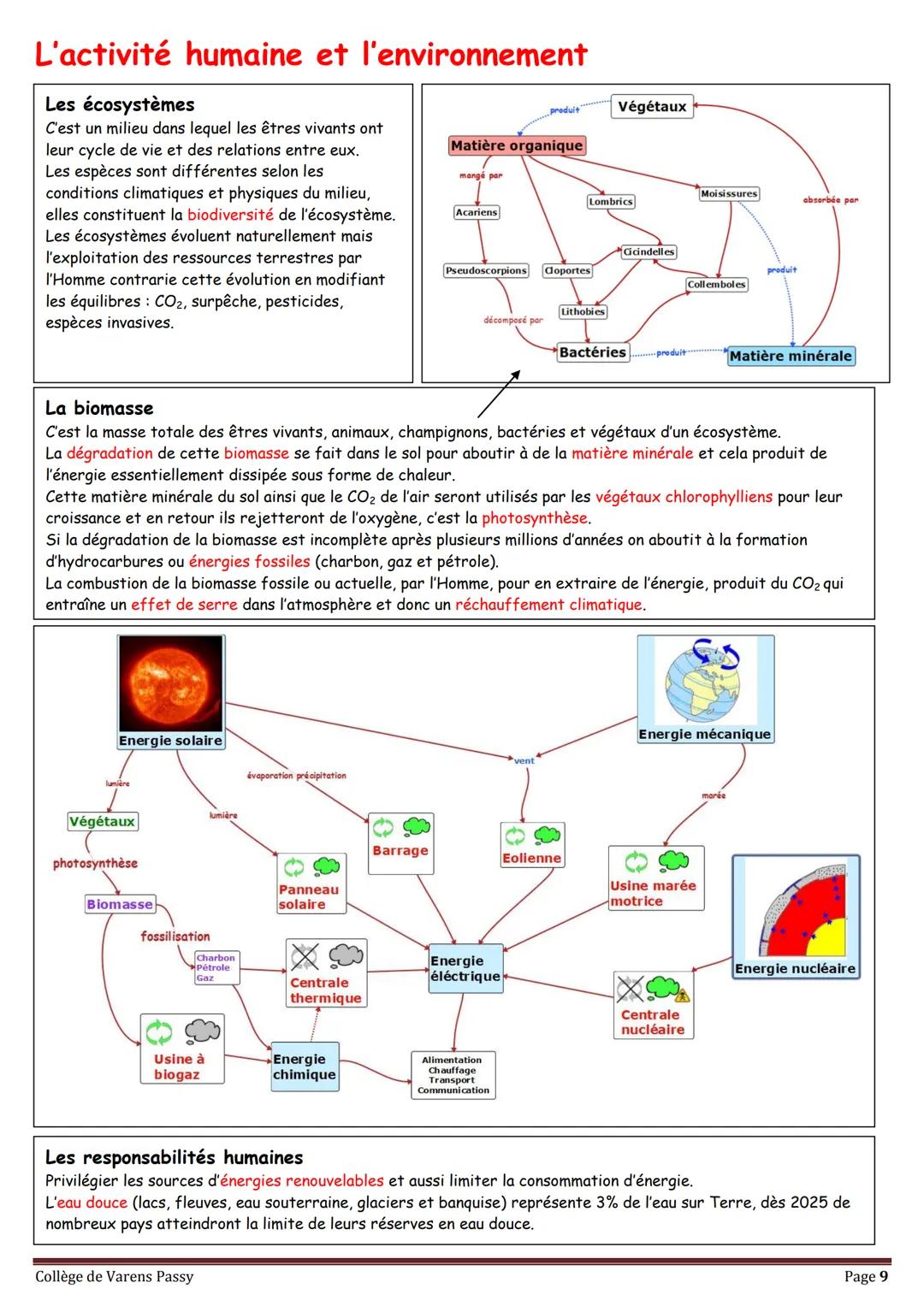 Fiches de Révision SVT 3ème en PDF : Prépare-toi pour le Brevet ! (SVT) - Knowunity