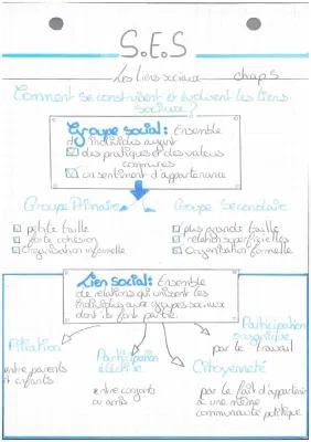 Comprendre les Liens Sociaux : Types et Exemples (SES) en PDF - Knowunity