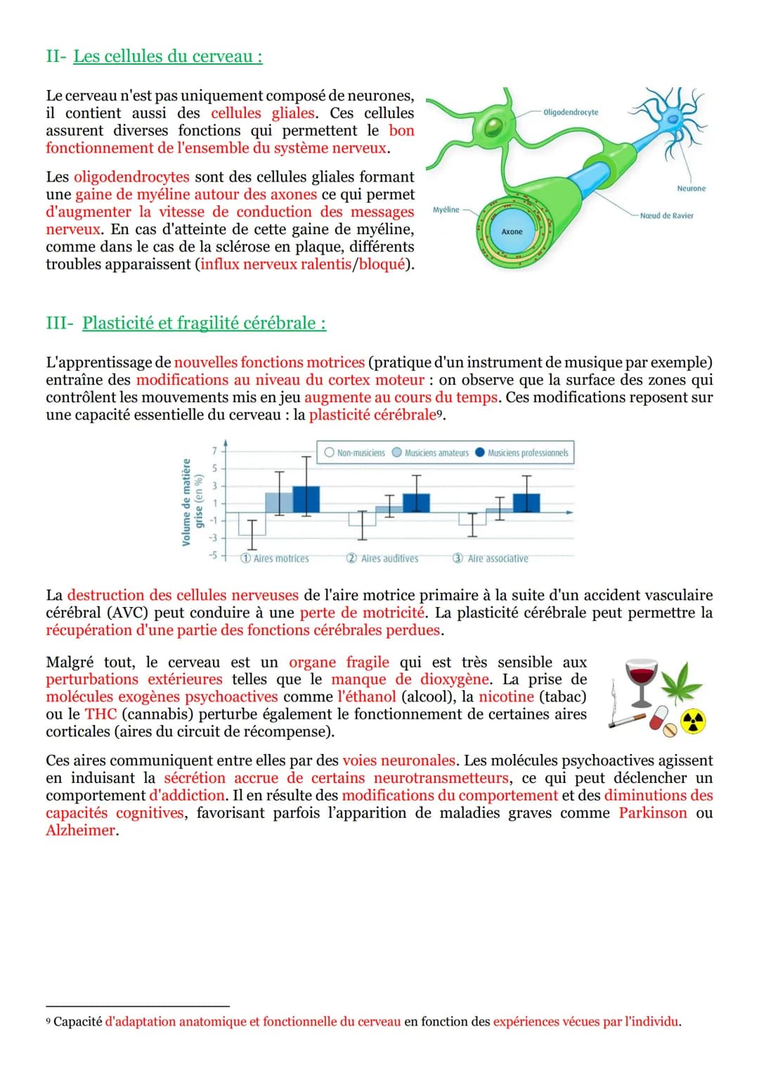 Tout Savoir sur le Réflexe Myotatique : Définitions, Exemples et ...