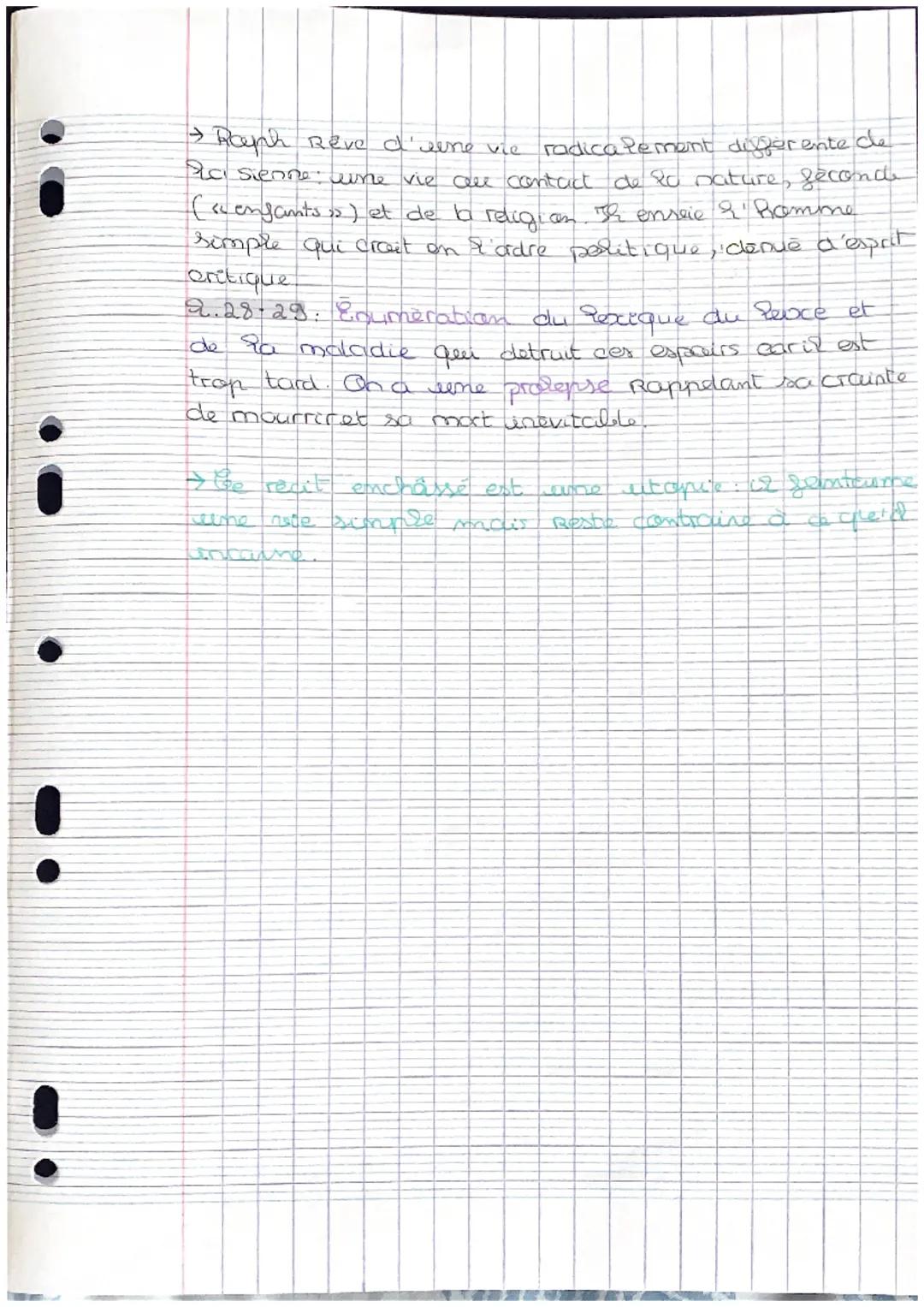 Analyse Simple et Linéaire de La Peau de Chagrin (Français) - Knowunity
