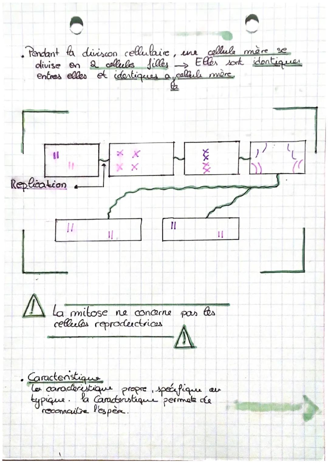 Explication simple: Fiche Révision Génétique 3ème - PDF Cours et ...