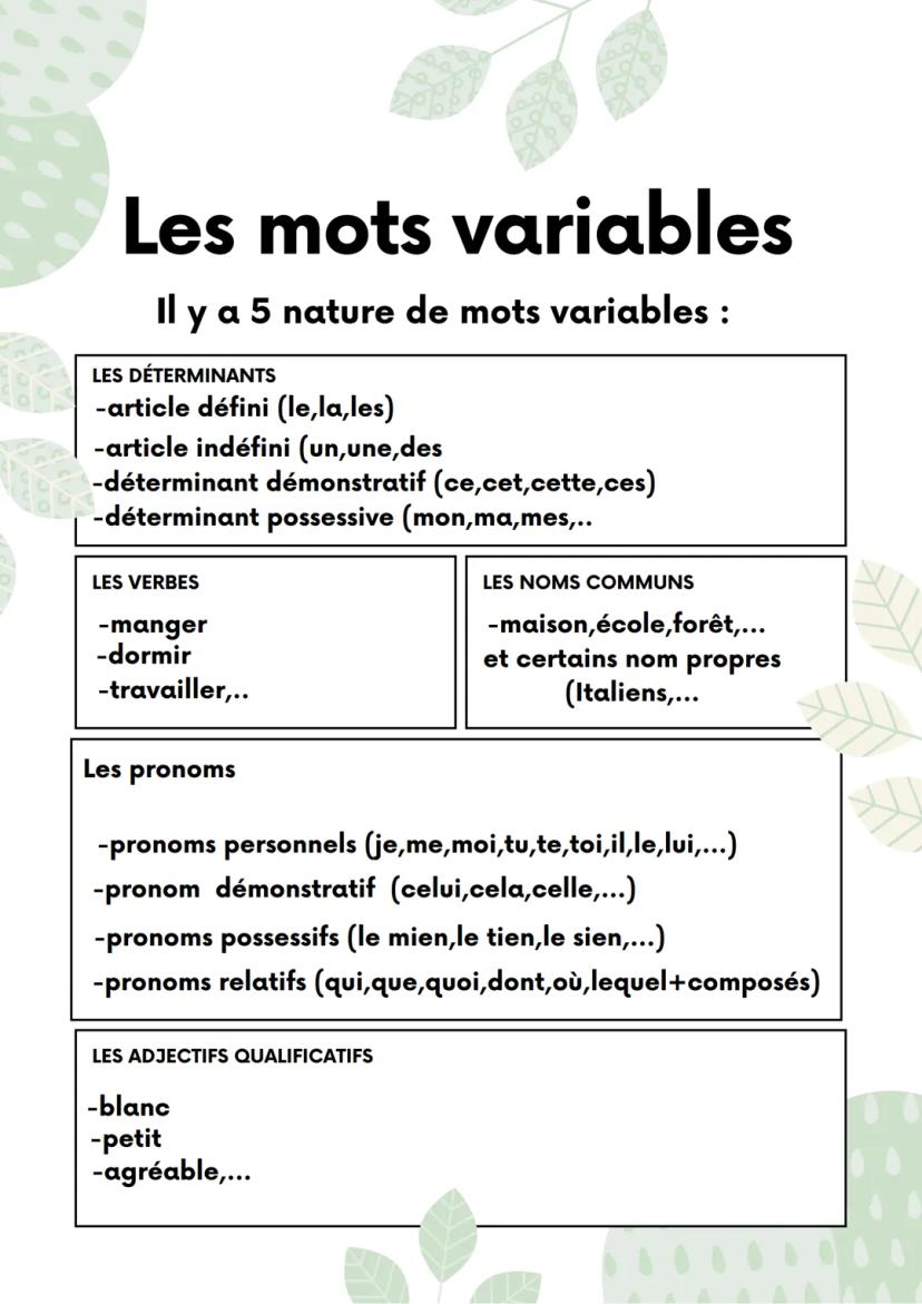 Découvre les Mots Variables et les Déterminants! (Français) en PDF ...