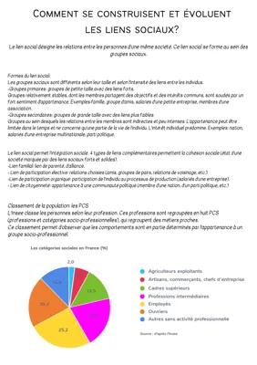Comprendre les Liens Sociaux : Types et Exemples (SES) en PDF - Knowunity