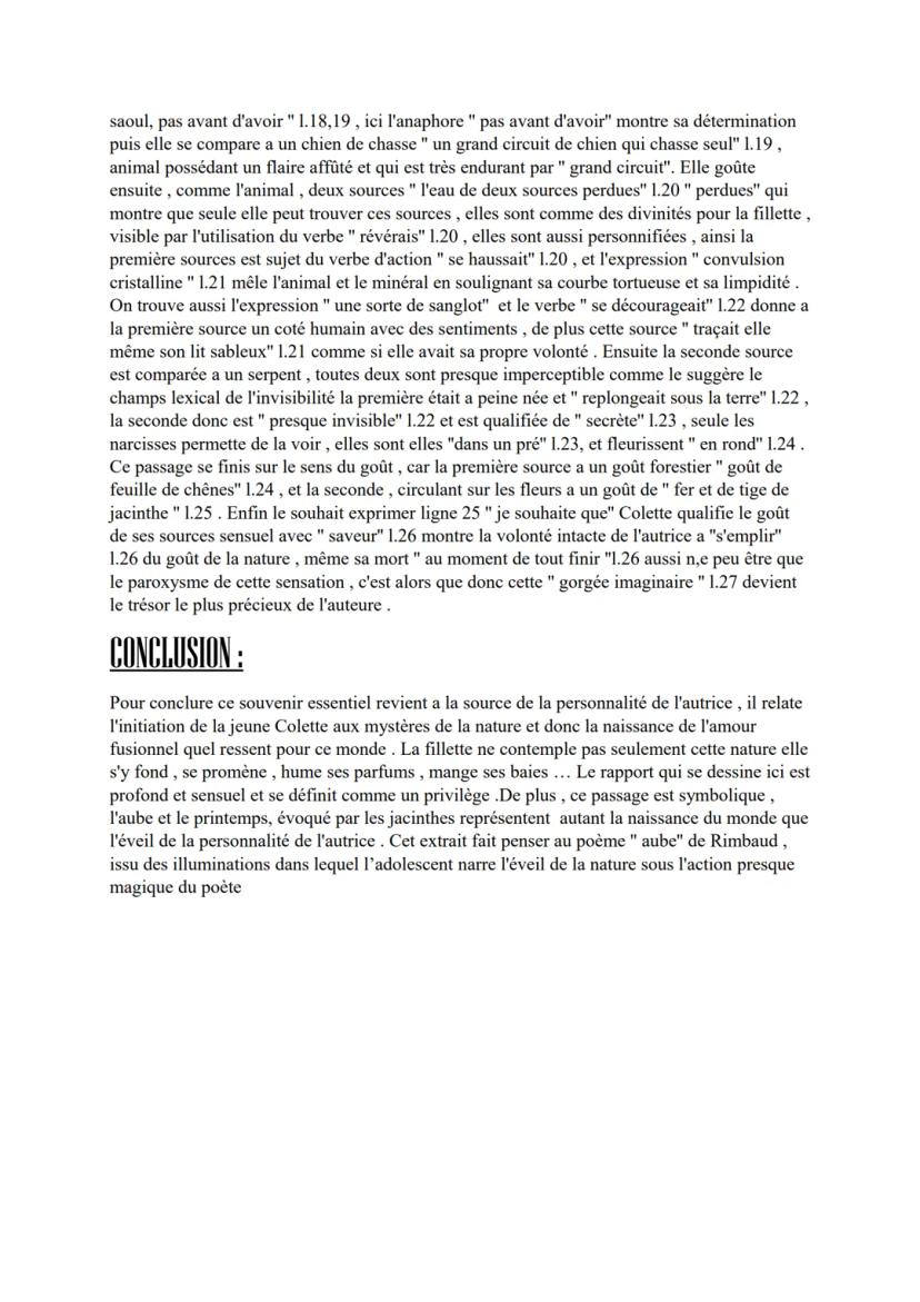 Explication simple: Analyse Linéaire Sido de Colette: Chapitres et ...