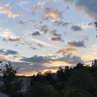 Les 7 Types de Mouvement et Trajectoire en Physique (Physique/Chimie ...