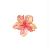 Partie 2 Chapitre 1 La structure du globe terrestre (SVT) en PDF ...