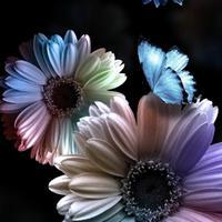 Explication simple: Axe 1- Thème 5 Environnement HGGSP (HGGSP) - Knowunity