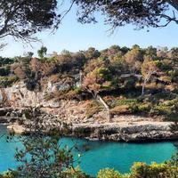 La Complexification des Génomes: Transferts de Gènes et Évolution (SVT ...