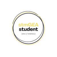 Explication simple: Comment caractériser une organisation STMG ...