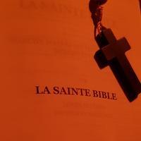 Découvre la Satire en 3ème: Exemples et Exercices PDF! (Français ...