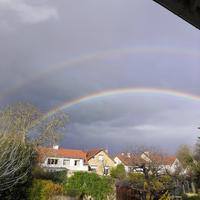 La Complexification des Génomes : Transferts Horizontaux et ...