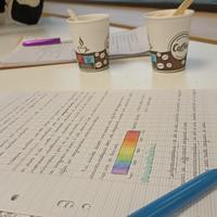 Le Principat d'Auguste et Octave Auguste - Biographie, Statues et ...