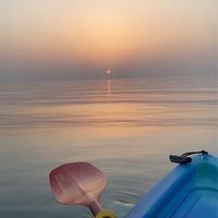 Postambule et Déclaration des Droits de la Femme - Olympe de Gouges ...